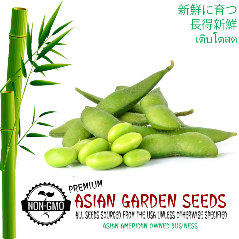 Non-GMO Asian Garden Seeds – Traditional Asian Vegetables, Herbs and More…